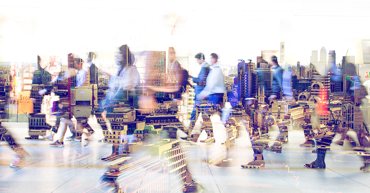 The Social Safety Net for Working-Age Adults